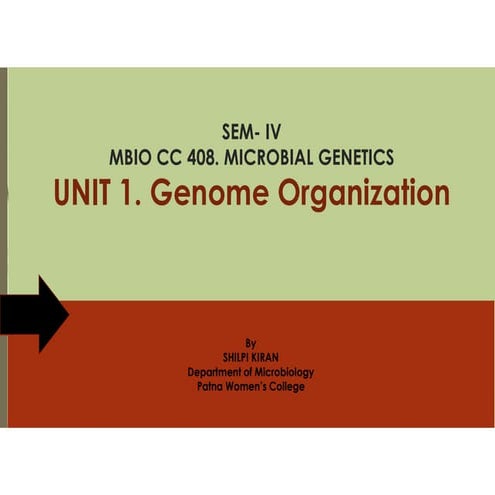 Prokaryotic and eukaryotic gene structures | PPTX