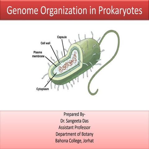 Signal processing of dna and protein sequences | PPT