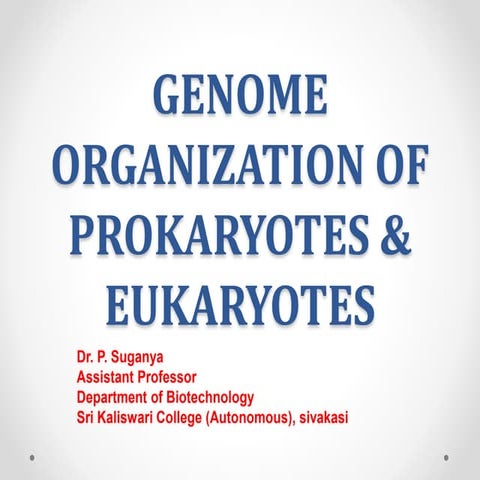 Ppt Prokaryotic And Eukaryotic Classification