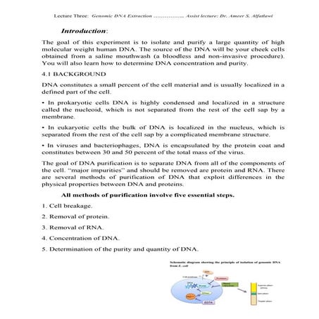 Whole Genomic DNA extraction lecture | PDF