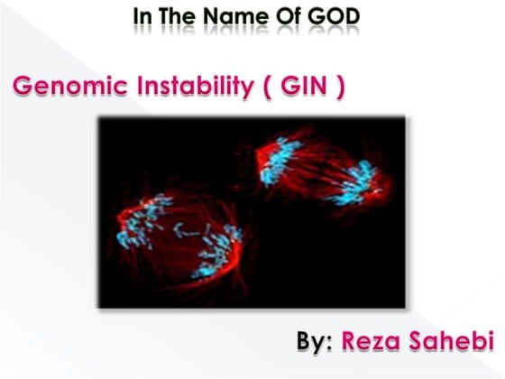 Chromosome instability syndrome including instability of chromosome and ...