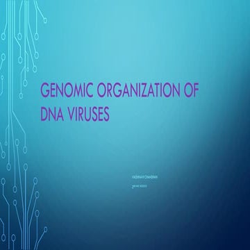 Genomic organization of DNA viruses.pdf