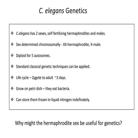 Genomics 2011 Lecture 2 Ppt 9546