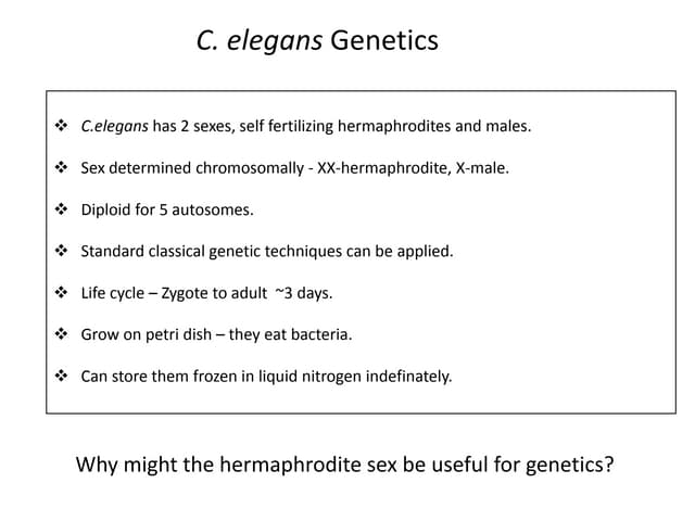 Genomics 2011 Lecture 2 Ppt 9546