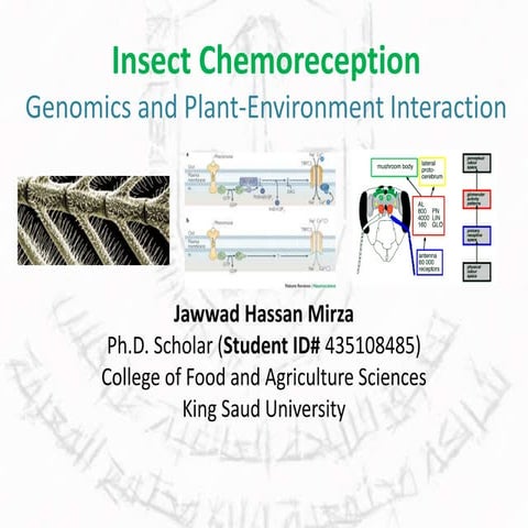 Genomics of insect chemoreception | PPTX