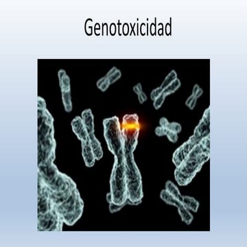 Genotoxicidad.pptx