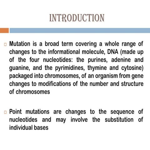 Assignment on Genotoxicity | PDF