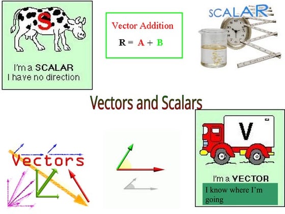 GENERAL PHYSICS: UNDERSTAND VECTORS FOR STEM 12 | PPTX | Physics | Science