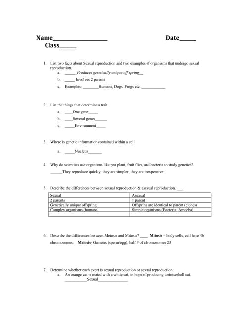 Sci 9 Genetics Practice Problems | PDF