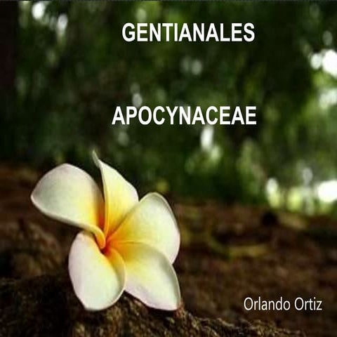 Gentianales apocynaceae | PPTX