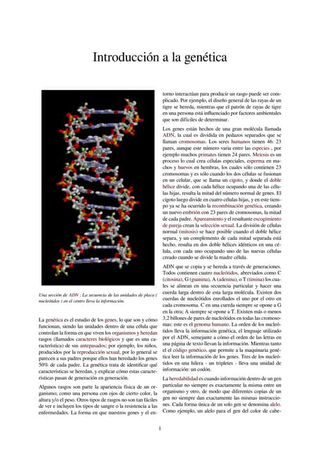 Caja tata | PDF