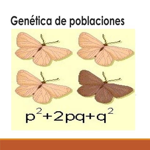 Genética De Poblaciones Formula Sobre Mezcla Genetica Ppt 5063