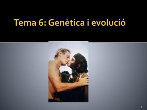 Tema 2 evolució 2 | PPT