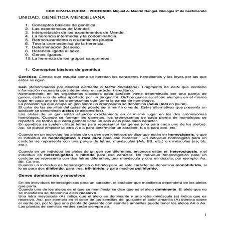 Genética mendeliana | PDF