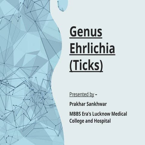 Ehrlichia | PPTX
