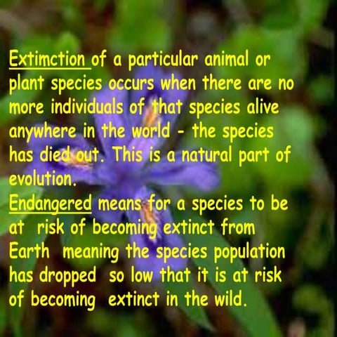 endangered and extinct animals | PPTX