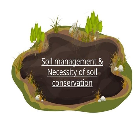Engineering and Bio-engineering soil conservation measures | PPTX