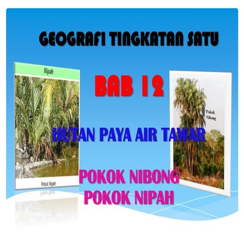 Geo bab 12 | PPT