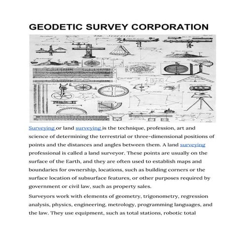Geodetic survey corporation | PDF