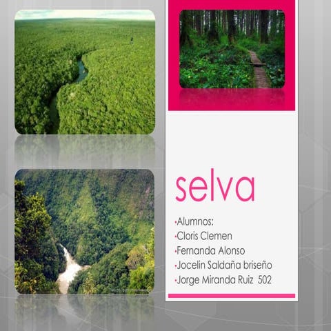 Proyecto La selva amazónica | PPT