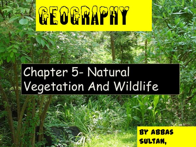Deciduous forest biotic and abiotic | PPT