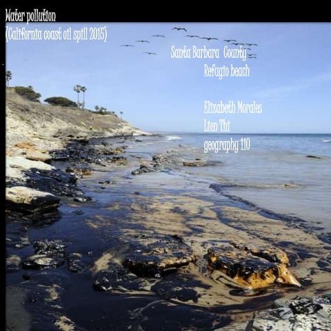 Water Pollution/Oil Spills | PPTX