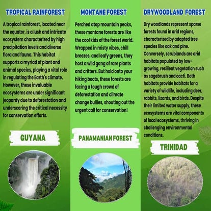 Geography Brochure (2).pdf by Jameel Mohammed | PPT