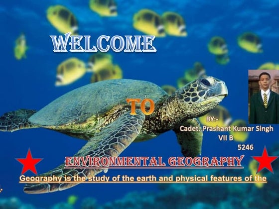 types of forest | PPTX | Geography | Science