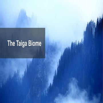 The Taiga Biome For educational and personal uses | PPTX