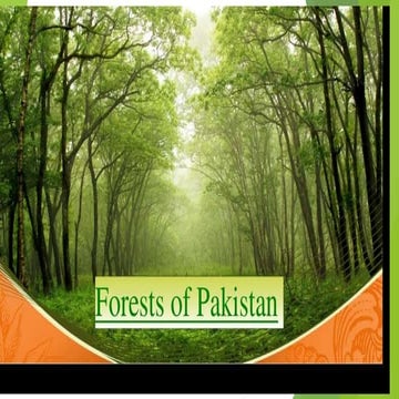 Geography Unit # 4 Types of Forests (Week 14, Lesson 5).pptx