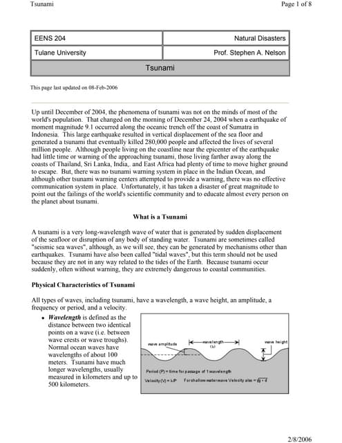 project on Tsunami | DOCX