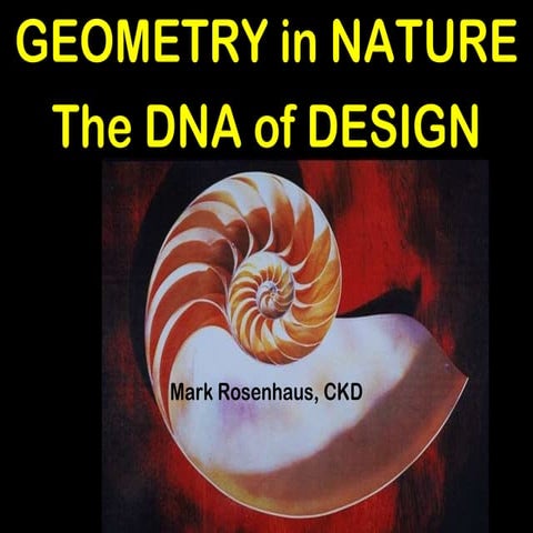 Geometry in Nature - the DNA of Design for kitchens and bathrooms; art ...