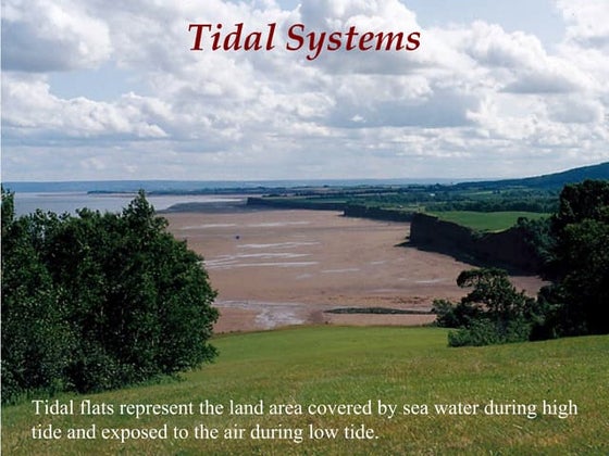 Fluvial Systems - General | PPT