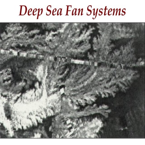 Deep Sea Fan Systems | PPT