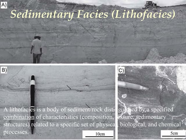 sedimentary facies.pdf