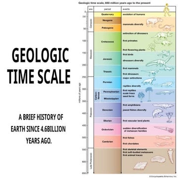 The Geologic Time Scale .pptx