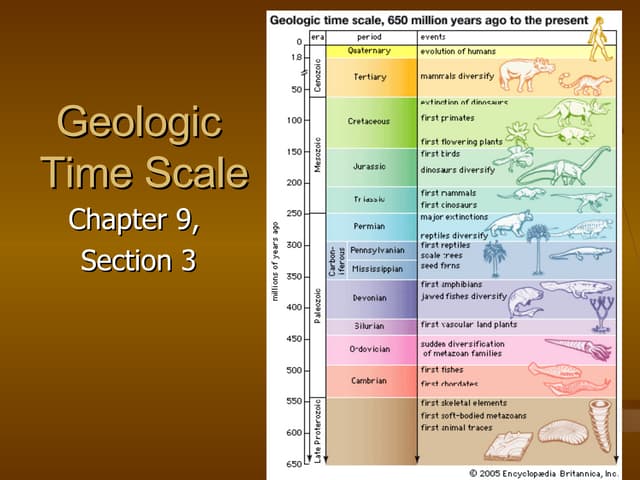 Geological Time Scale