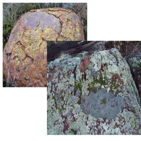 Geologicalactivity AX | PPT