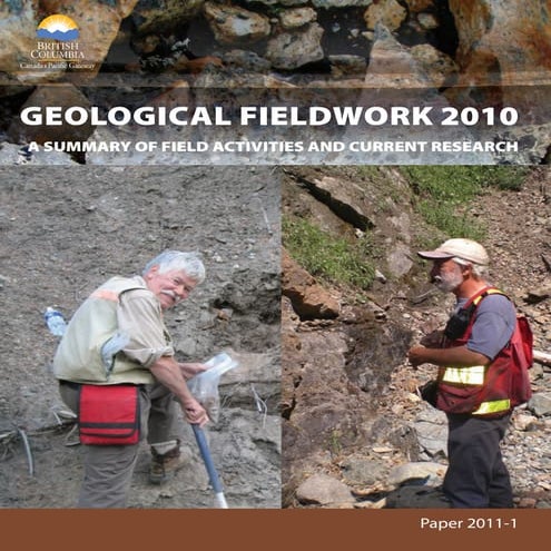 Geological Fieldwork 2010 | PDF