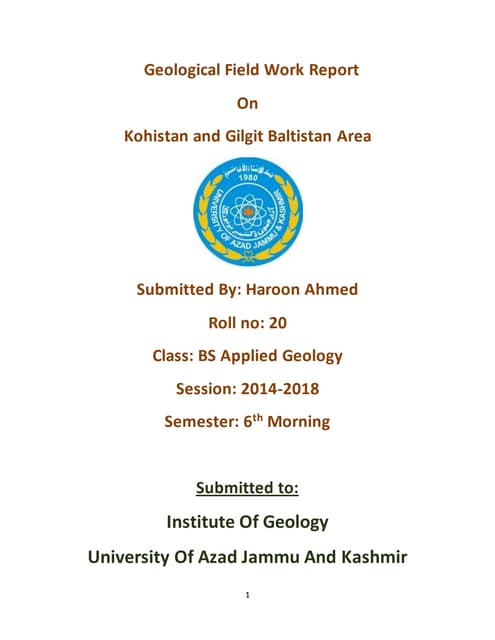 Geological fieldwork report | PDF