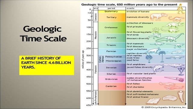 Measures Evolutionary Time Geologic Time