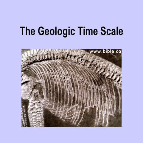 Geologic time scale | PPT