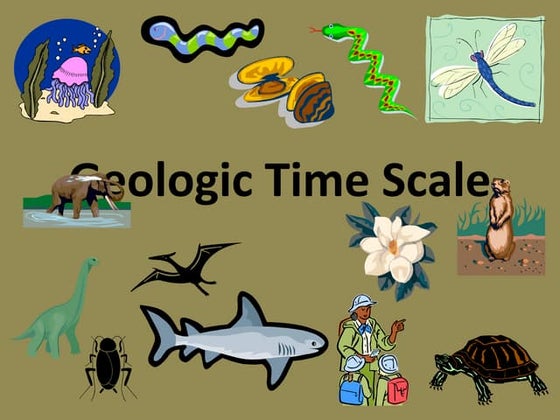 Geological time scale and plant life through ages | PDF | Geology | Science