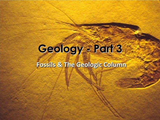 Fossils | PPT