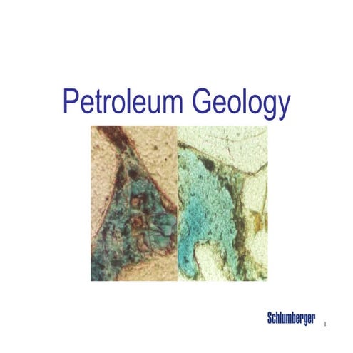 Reservoirs and source rock properties of petroleum | PDF
