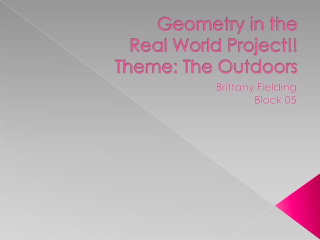 Geometry terms (1) | PDF