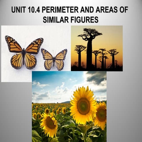 Geometry unit 10.4 | PPT | Physics | Science