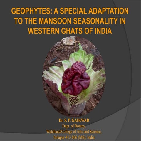 Geophytes of western ghats | PPTX