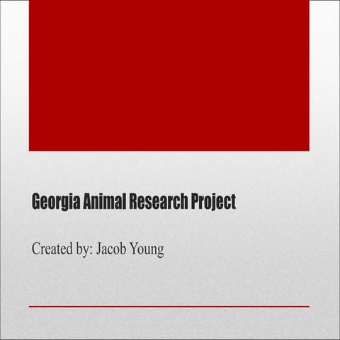 Georgia animal research project jacob y | PPT