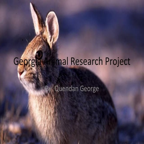 Georgia animal research project quendan | PPT